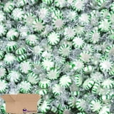 Green & White Individually Wrapped Spearmint Starlight Mints Value Pack ...
