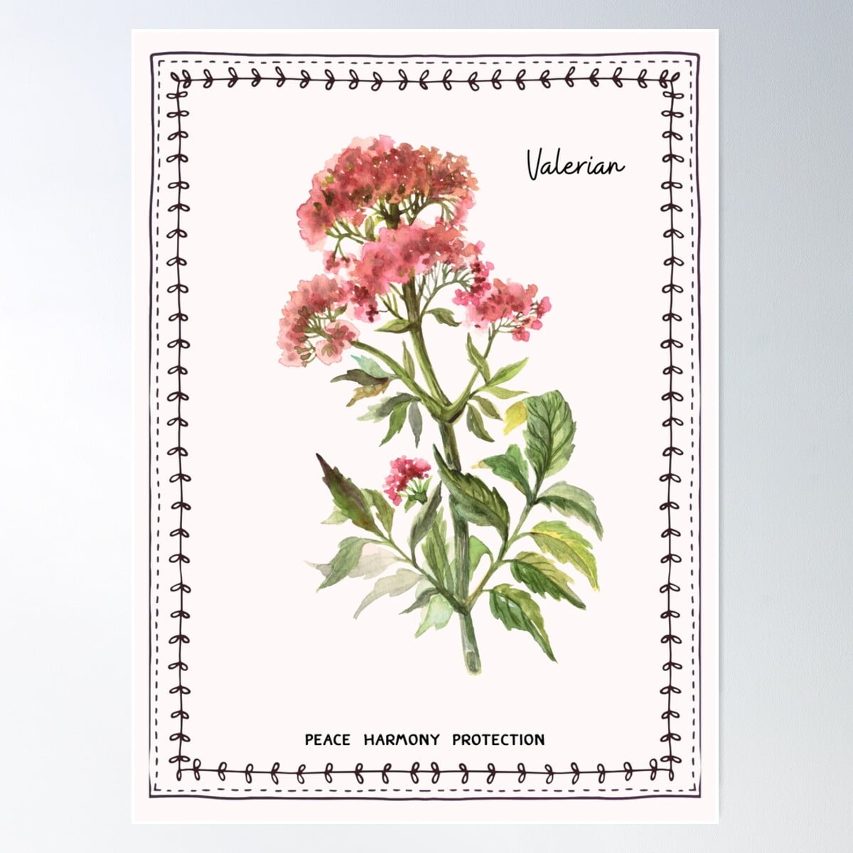 Green Witch Herbal - Valerian Poster Wall Art, Modern Wall Decor For ...