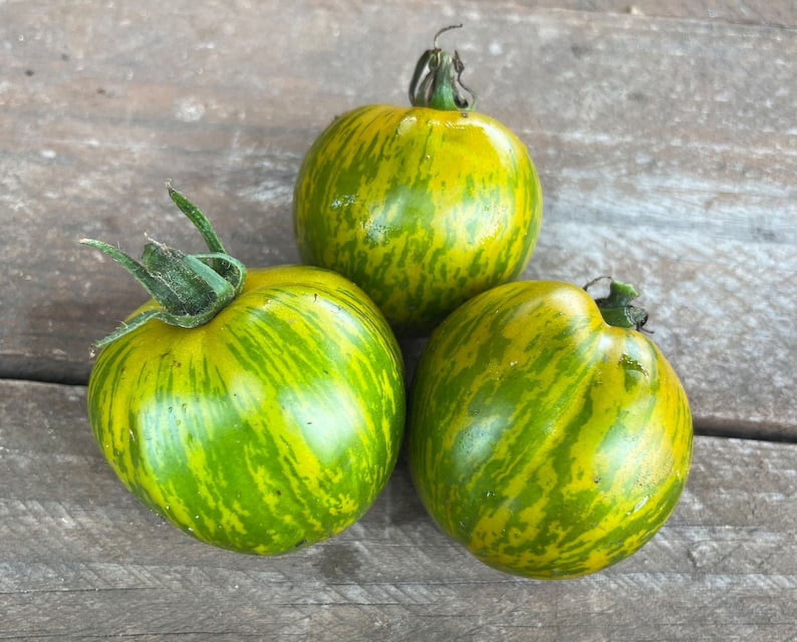 Green Zebra Striped Heirloom Tomato Premium Seed Packet - Walmart ...