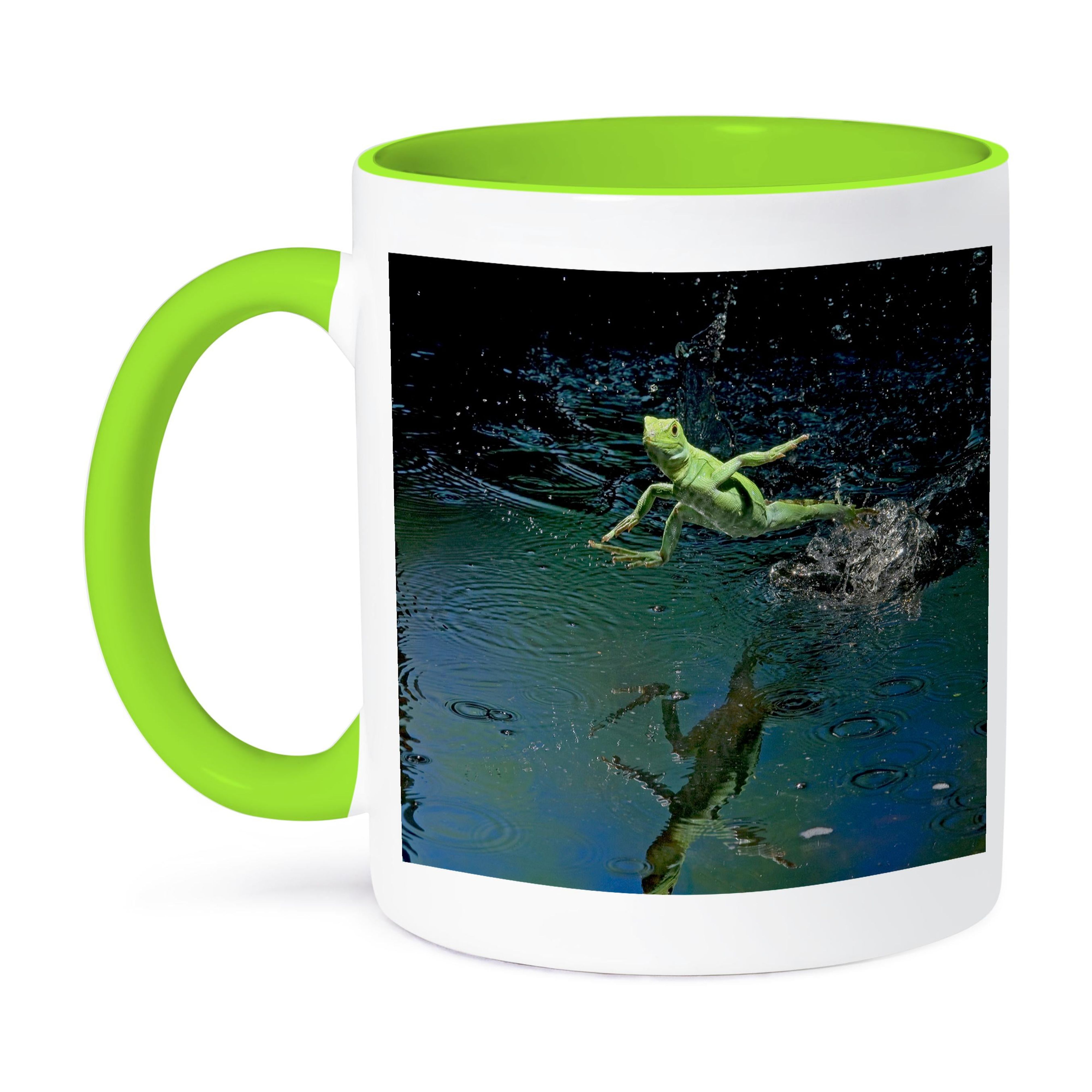 3dRose, Green basilisk, plumed basilisk, Costa Rica - SA22 AMR0011 ...