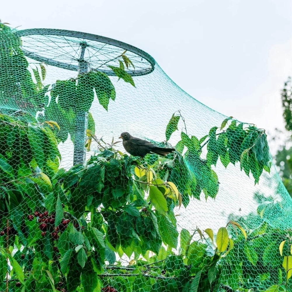 Green bird-proof net vegetable and fruit bird-proof net insect-proof ...