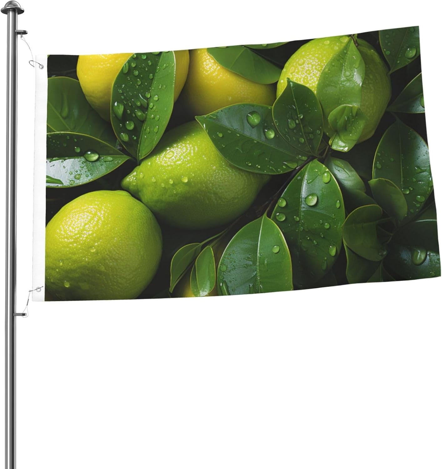 Green lemon Garden Flags Holiday Banner with Brass Grommets Large ...