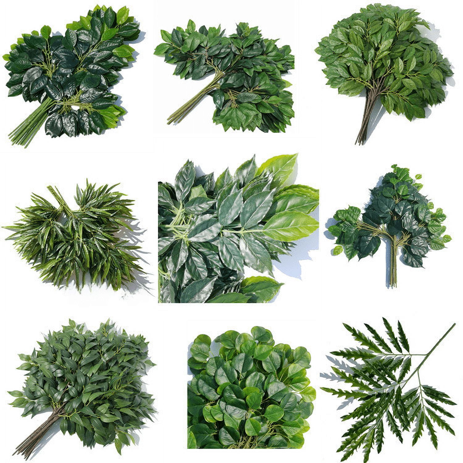 Green plant Big Tree plane branch Orange Leaf Maple Leaf French Banyan ...