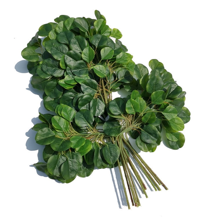 Green plant Big Tree plane branch Orange Leaf Maple Leaf French Banyan ...
