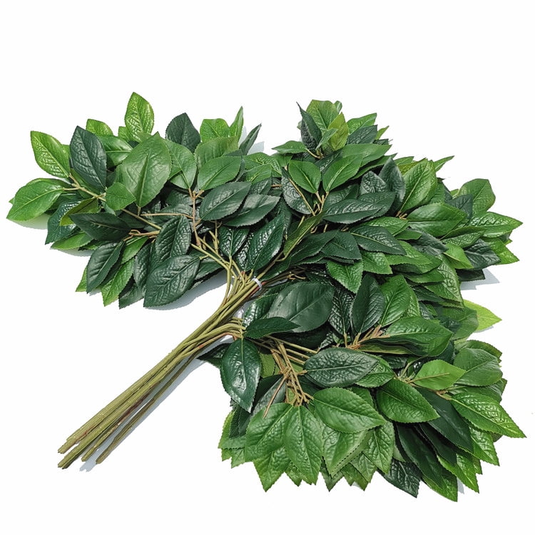 Green plant Big Tree plane branch Orange Leaf Maple Leaf French Banyan ...