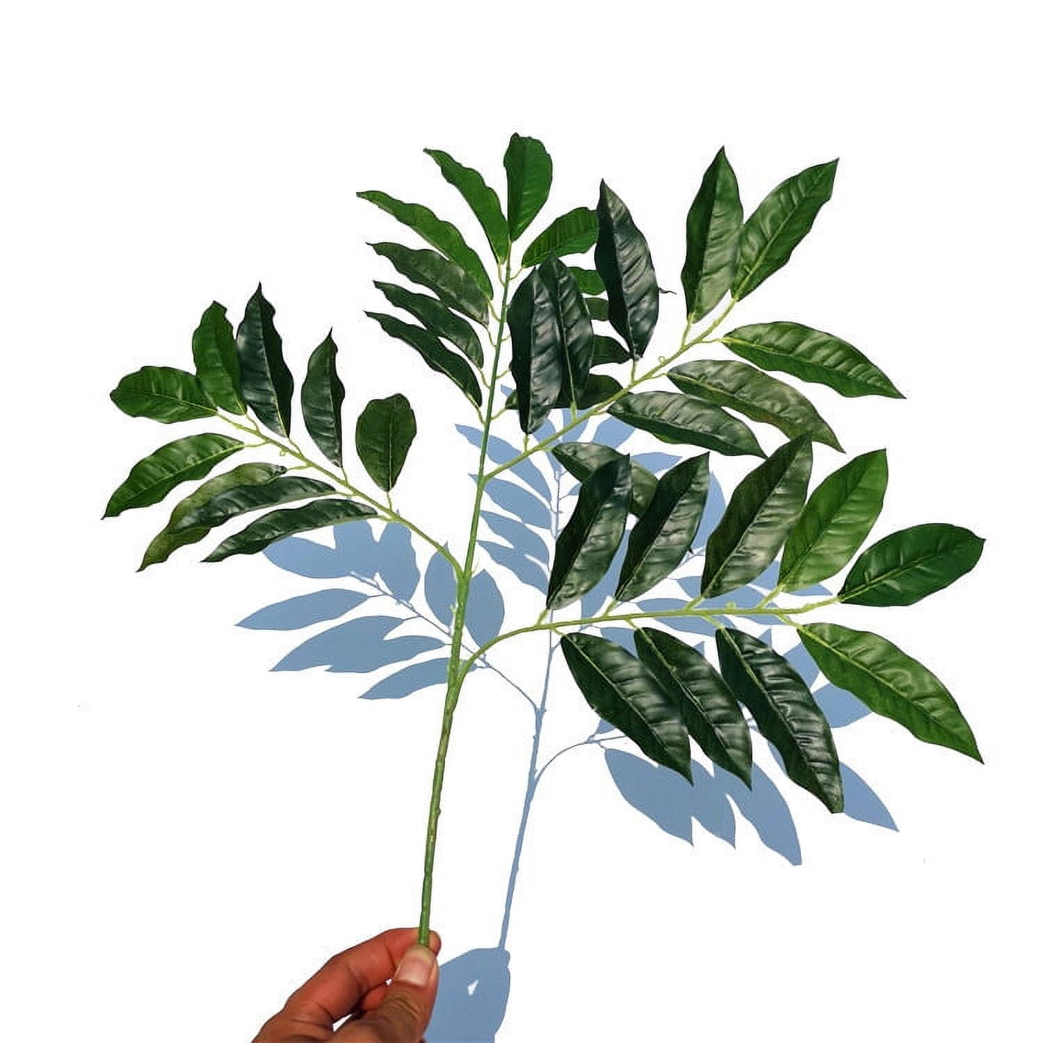 Green plant Big Tree plane branch Orange Leaf Maple Leaf French Banyan ...
