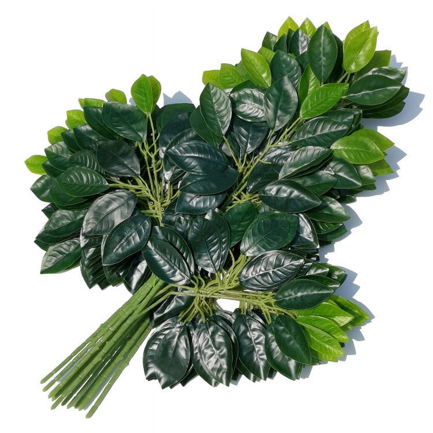 Green plant Big Tree plane branch Orange Leaf Maple Leaf French Banyan ...