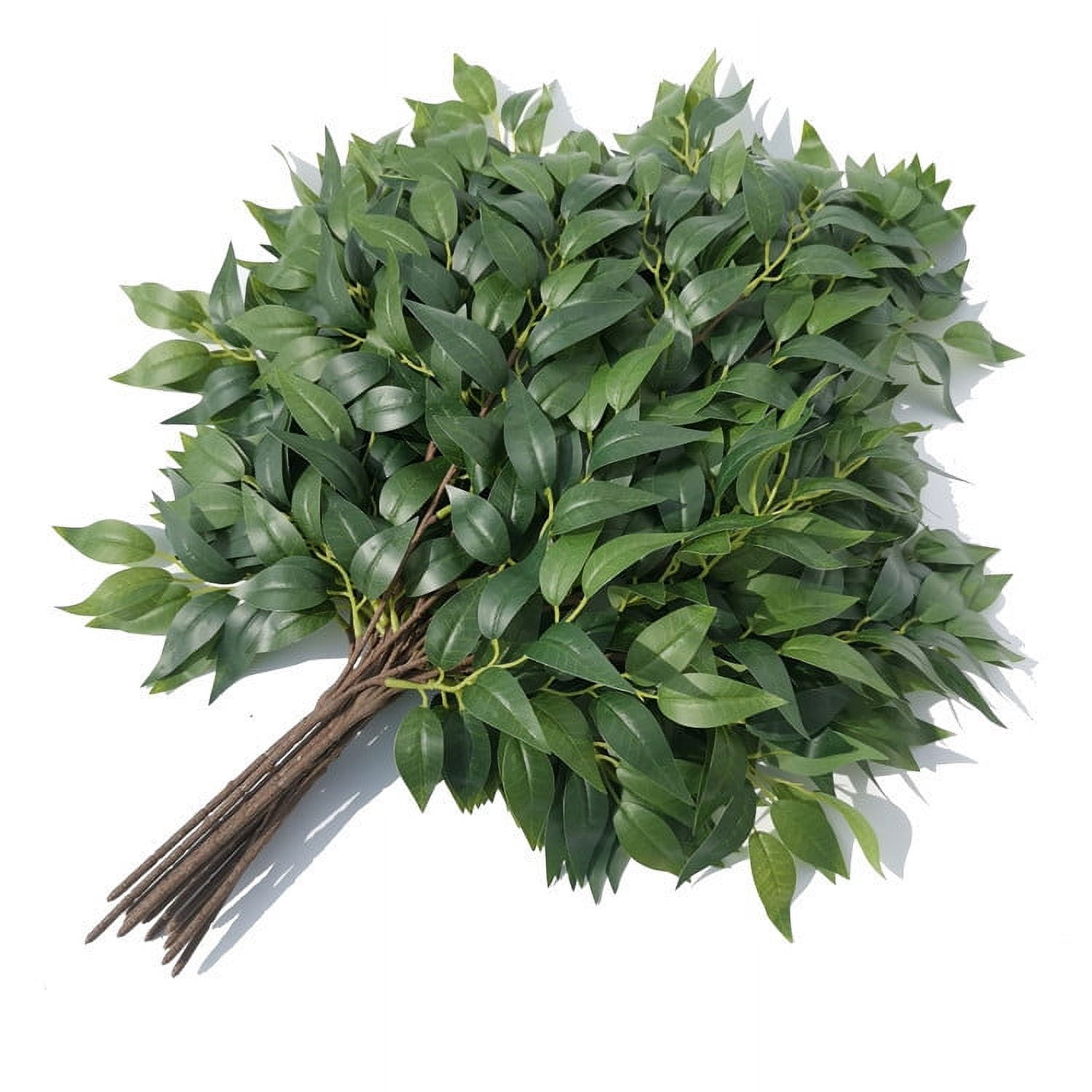 Green plant Big Tree plane branch Orange Leaf Maple Leaf French Banyan ...