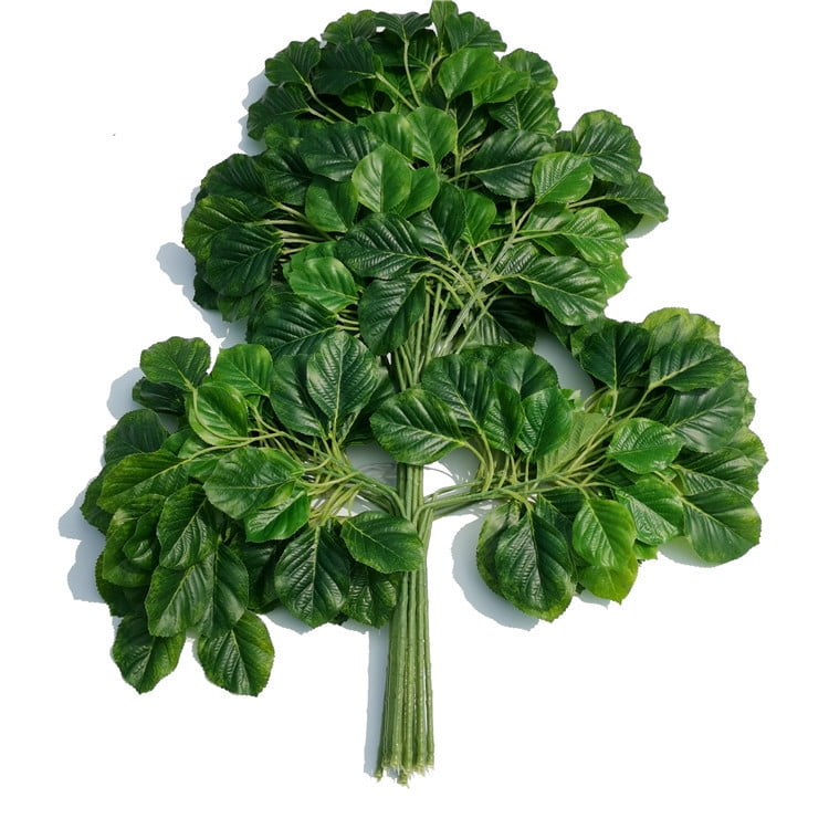 Green plant Big Tree plane branch Orange Leaf Maple Leaf French Banyan ...