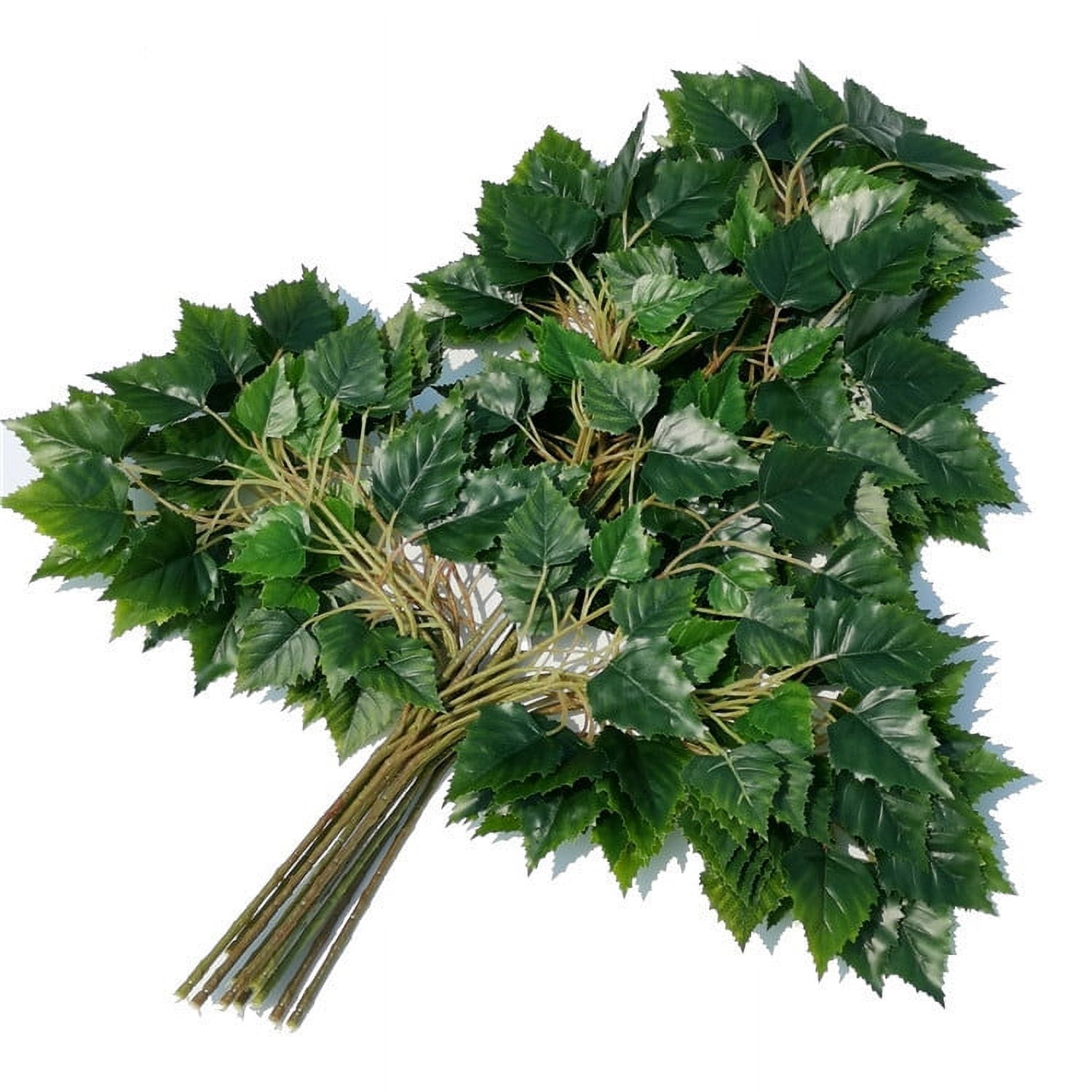 Green plant Big Tree plane branch Orange Leaf Maple Leaf French Banyan ...