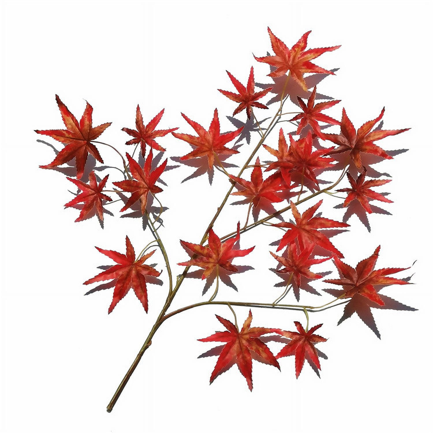 Green plant Big Tree plane branch Orange Leaf Maple Leaf French Banyan ...