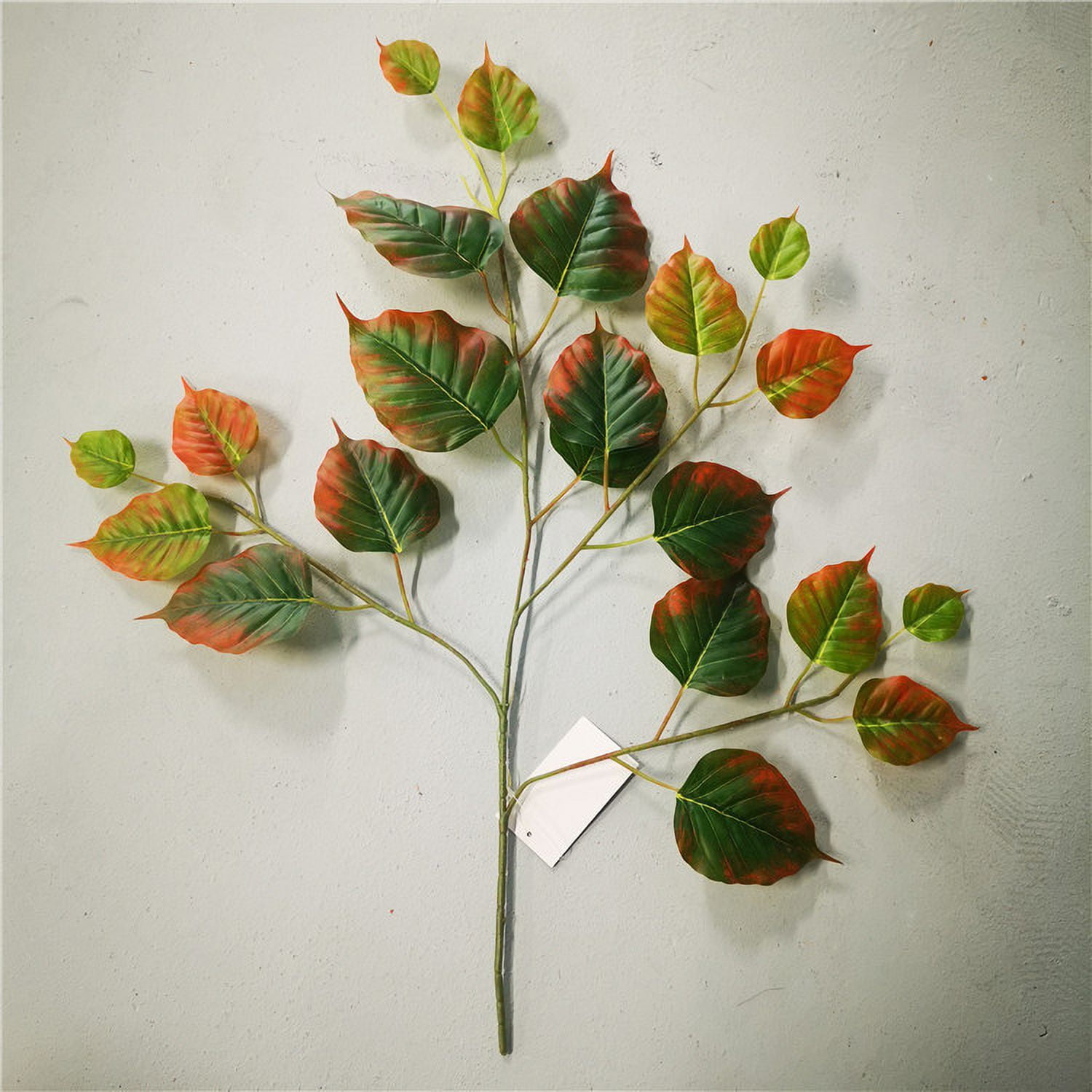 Green plant Big Tree plane branch Orange Leaf Maple Leaf French Banyan ...