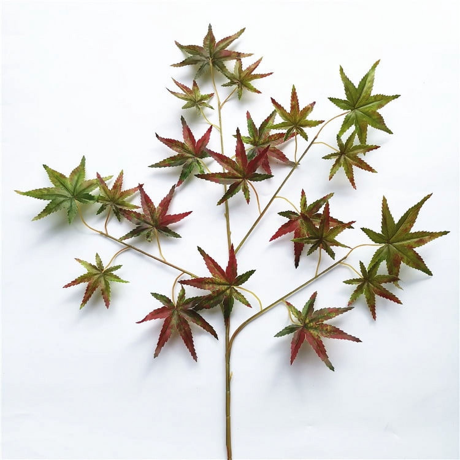 Green plant Big Tree plane branch Orange Leaf Maple Leaf French Banyan ...