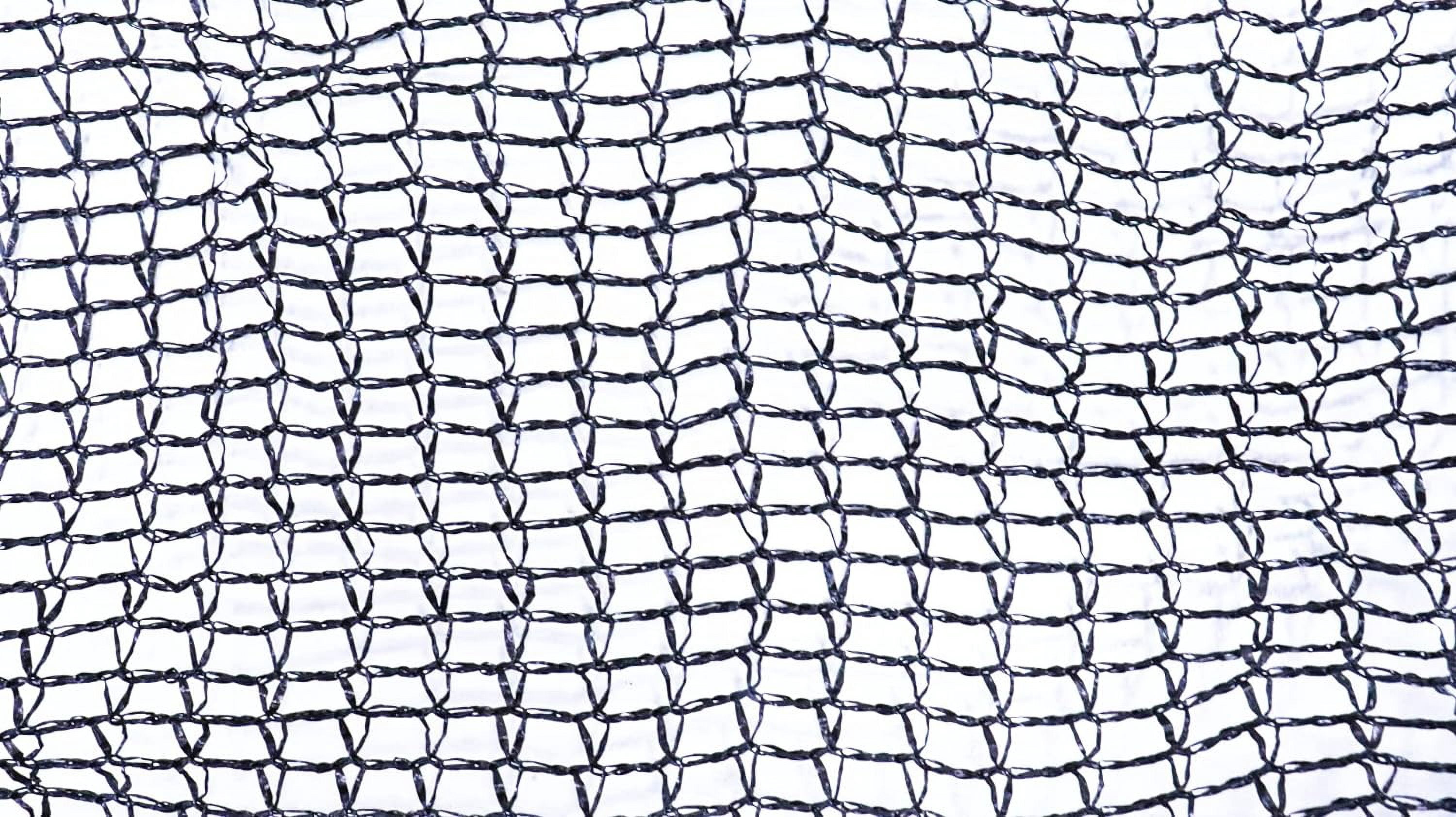 Green 's Deluxe Barrier Net/Netting - 32x32 Feet - s Fruit Trees, Berry ...