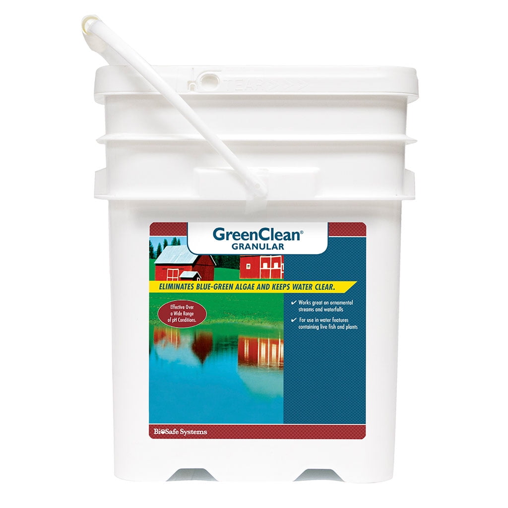 GreenClean Granular Algaecide for Ponds - 50 lbs. - Walmart.com