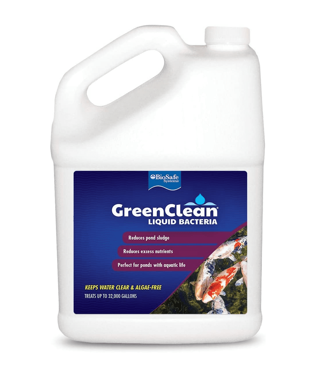 GreenCleanFX Liquid Algaecide - Controls Algae - 128 fl oz Bottle by ...