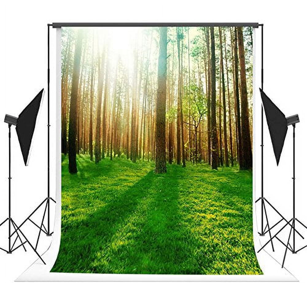 GreenDecor 5X7ft Nature Scenery Photography Backdrops Green Forest ...