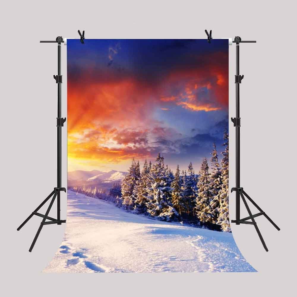 GreenDecor 5x7Ft Winter Snow Backdrop Sunset Glow Natural View Pine ...