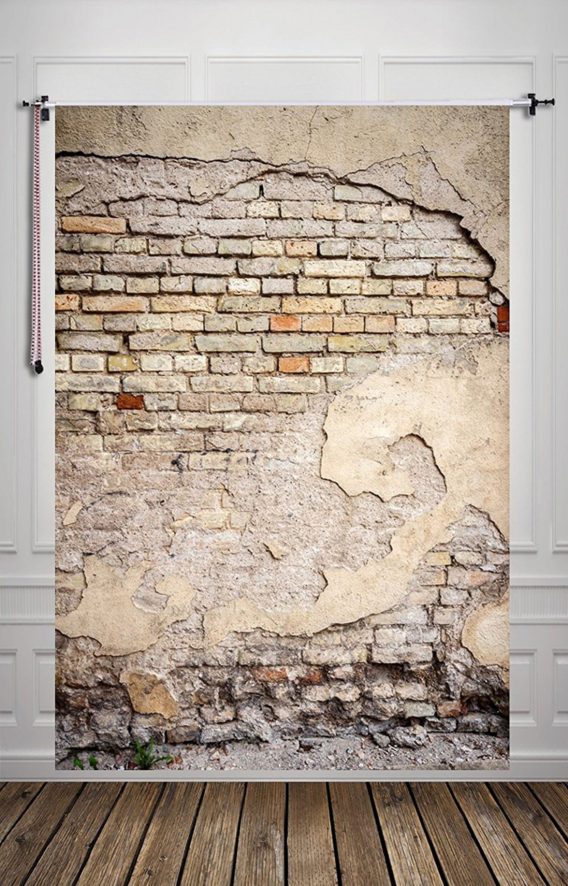 GreenDecor 5x7ft Art Photography Background Party backdrop background ...