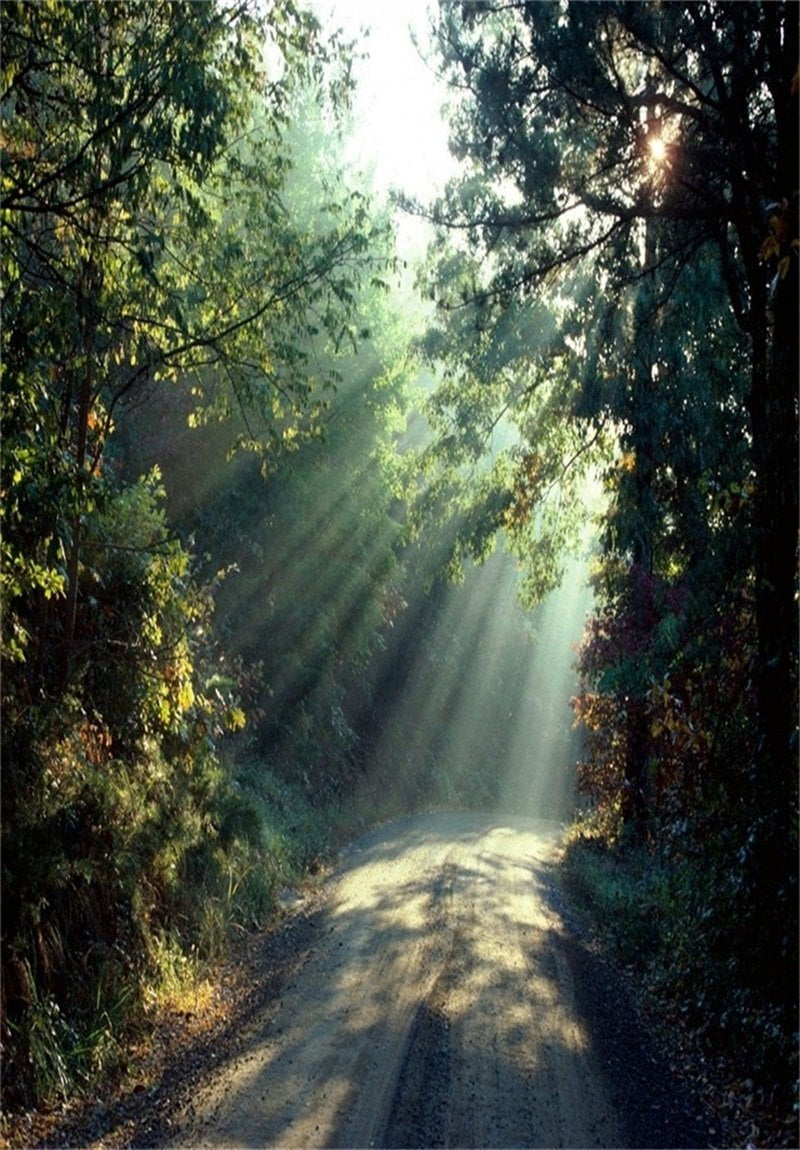 GreenDecor 5x7ft Artistic Photography Studio Background Girl Photo ...