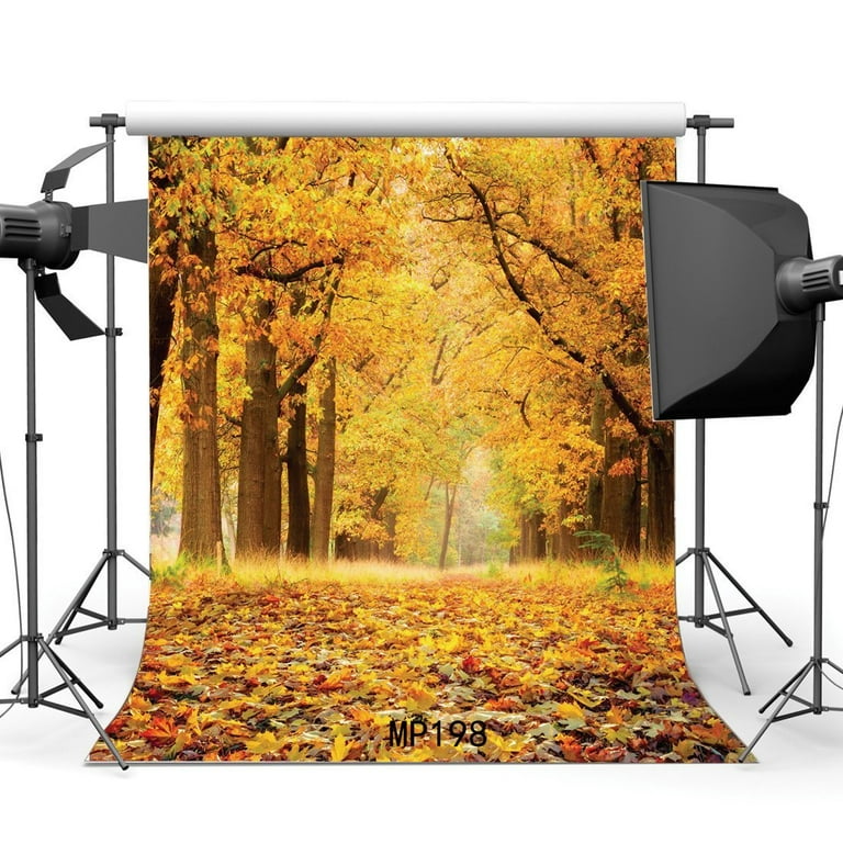 studio 198 wallpaper