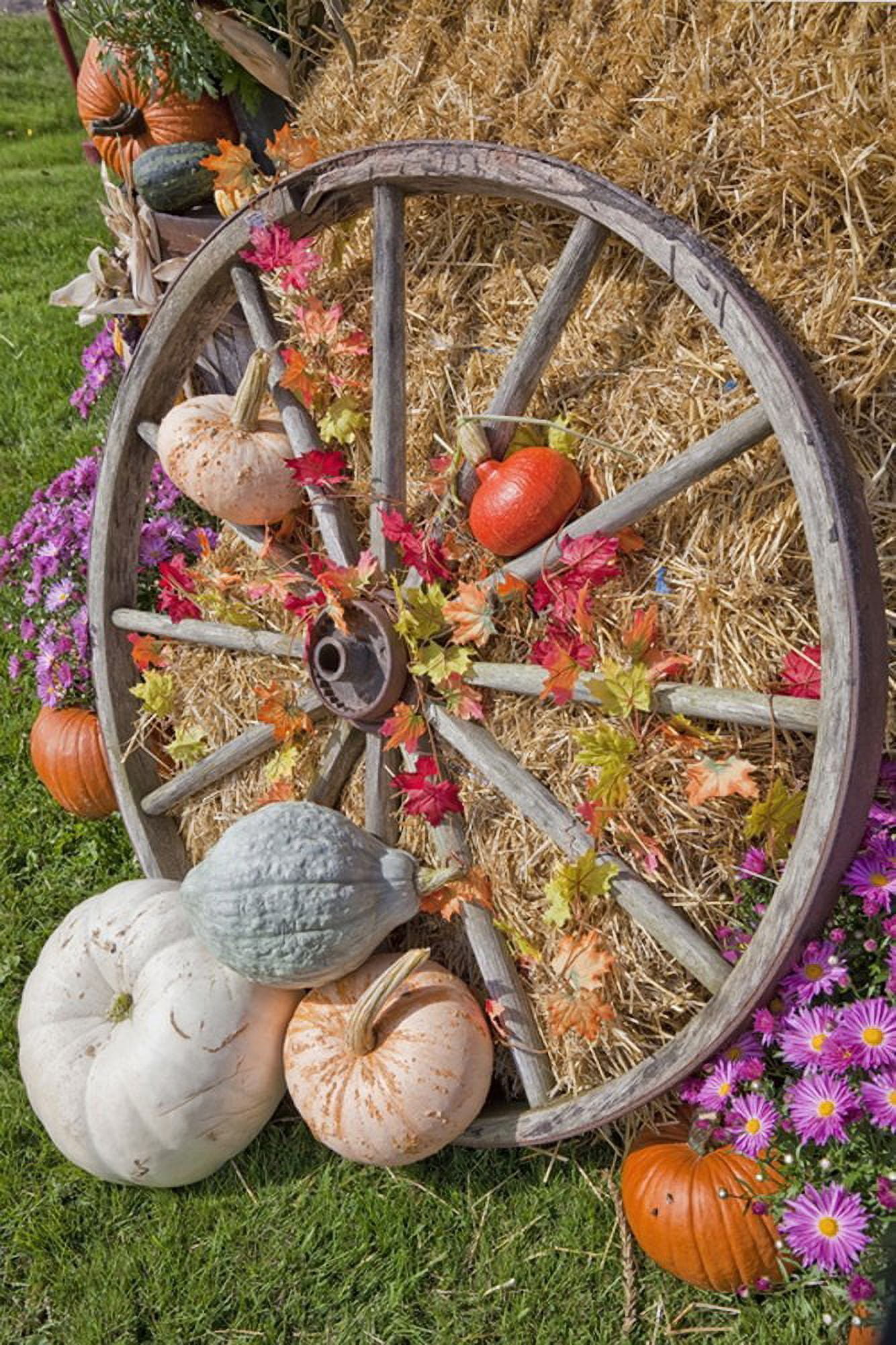 GreenDecor 5x7ft Autumn Farm Halloween Pumpkins Old Wagon Wheel Photography Backdrops Indoor ...