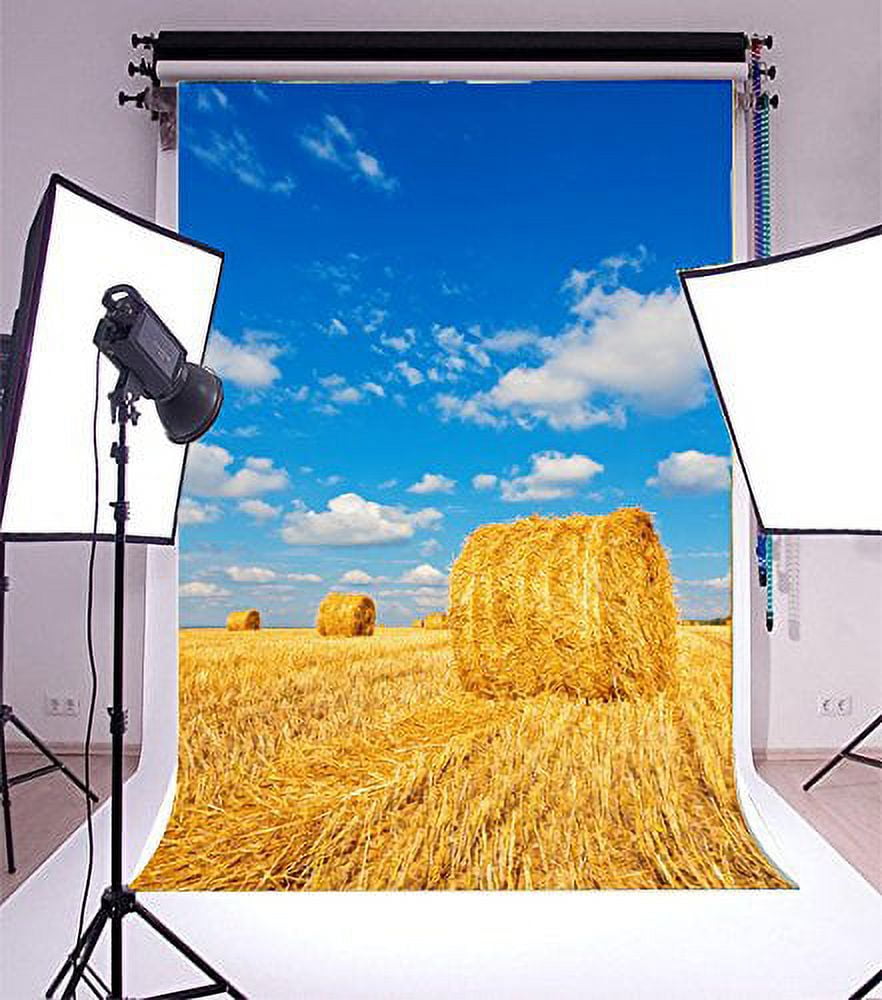 GreenDecor 5x7ft Backdrop Photography Background Hay bale Haystack Blue ...