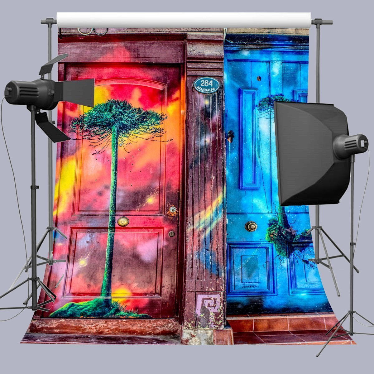 GreenDecor 5x7ft Colorful Painting Door Photography Backdrop Photo ...