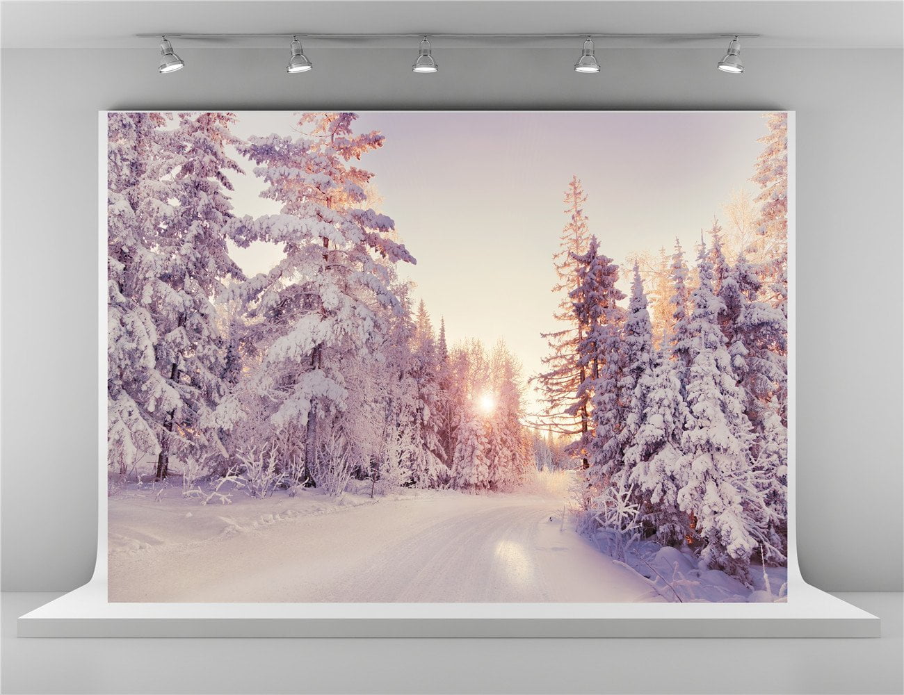 GreenDecor 5x7ft Frozen Snow Photography Backdrops Winter Forest ...