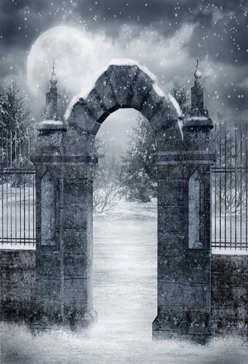 GreenDecor 5x7ft Grey Halloween Backdrop Photo Studio Backgrounds Door ...