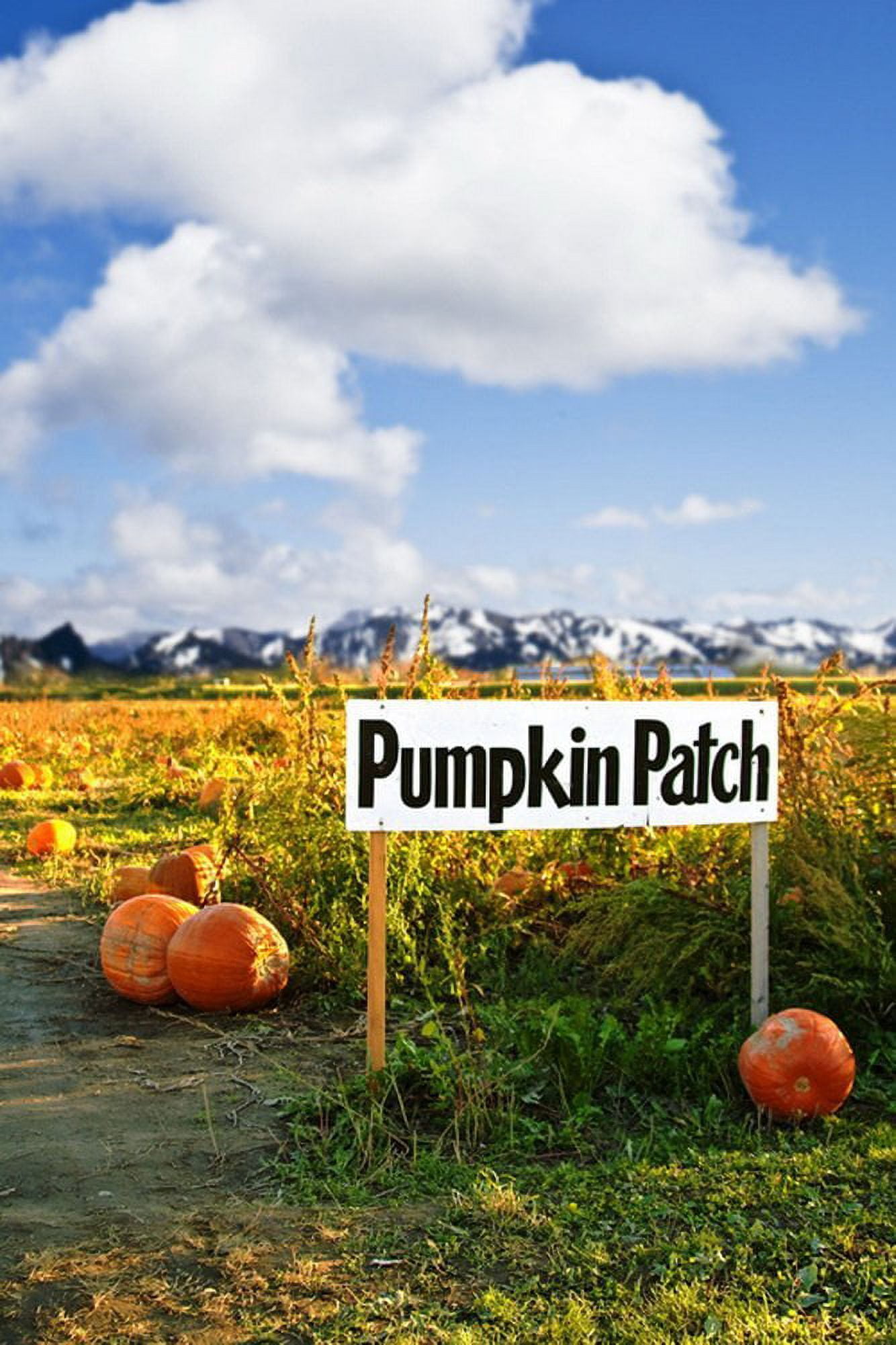GreenDecor 5x7ft Halloween Theme Pumpkin Patch Sign on Farm Photography ...