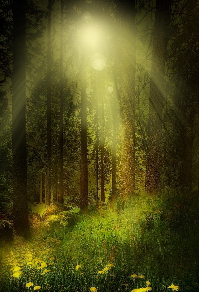 GreenDecor 5x7ft Magic Forest Backdrop Dreamy Woods Photography ...