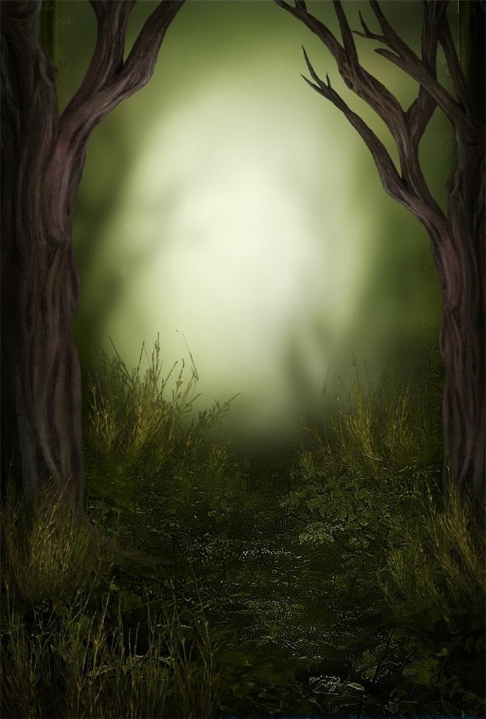 GreenDecor 5x7ft Magic Forest Backdrop For Photography Gloomy Meadow ...