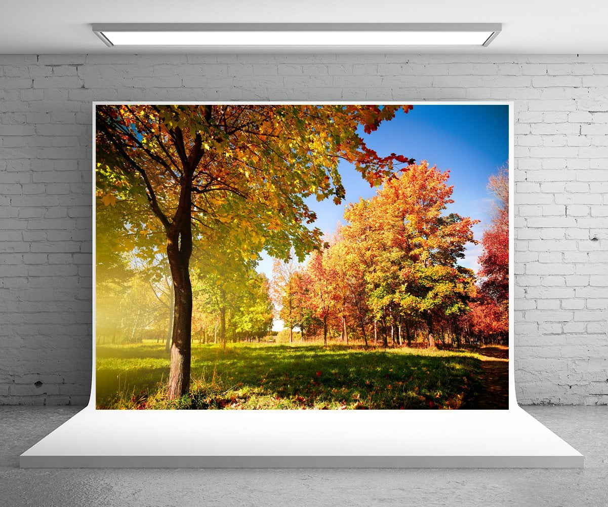 GreenDecor 5x7ft Maple Tree Photo Backdrop Blue Sky Autumn Grass ...