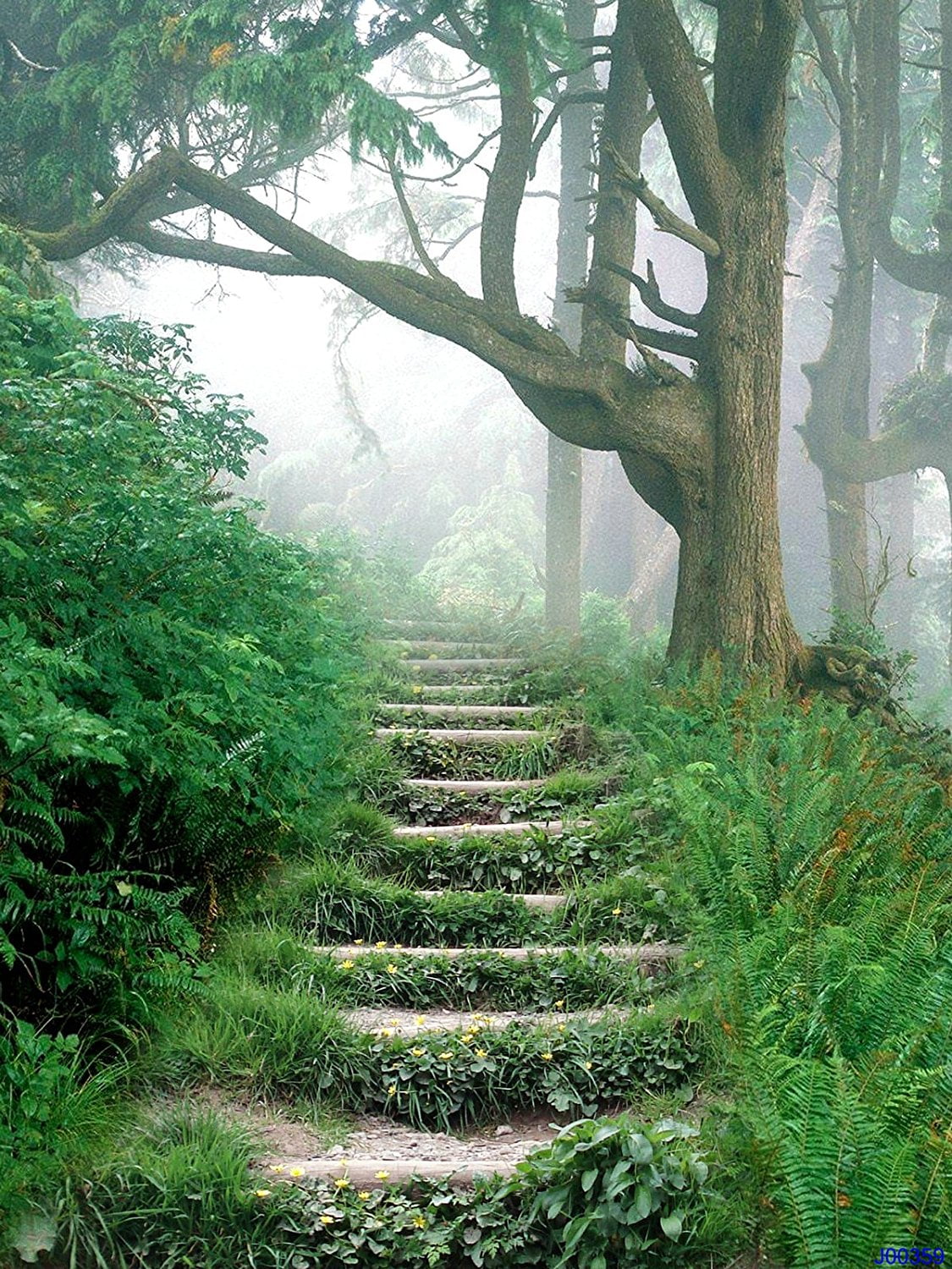GreenDecor 5x7ft Natural Scenery Photography Backdrops Stone Stairs ...