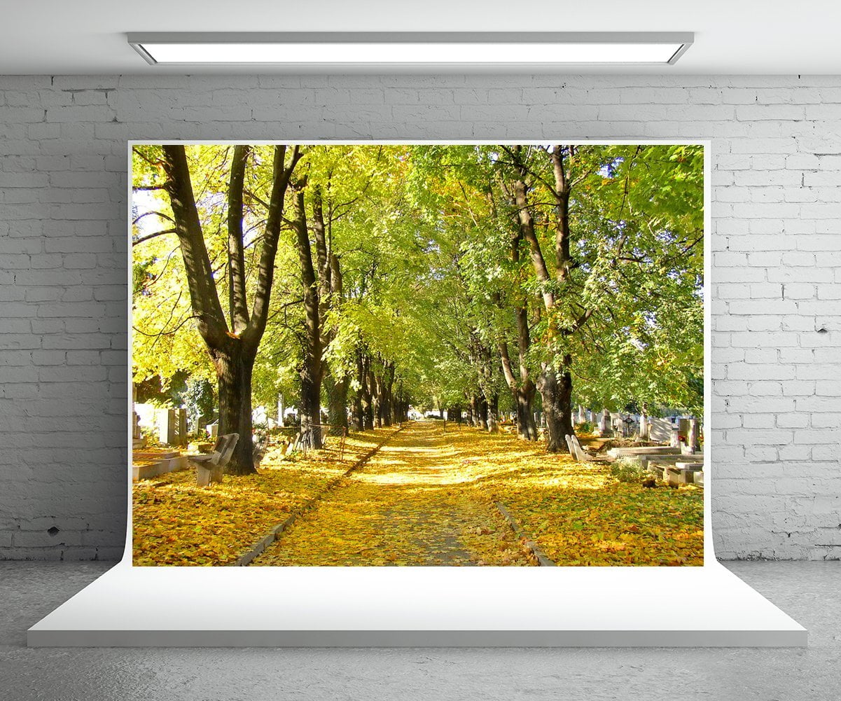 GreenDecor 5x7ft Nature Tree Backdrop Forest Scenery Photo Backgrounds ...