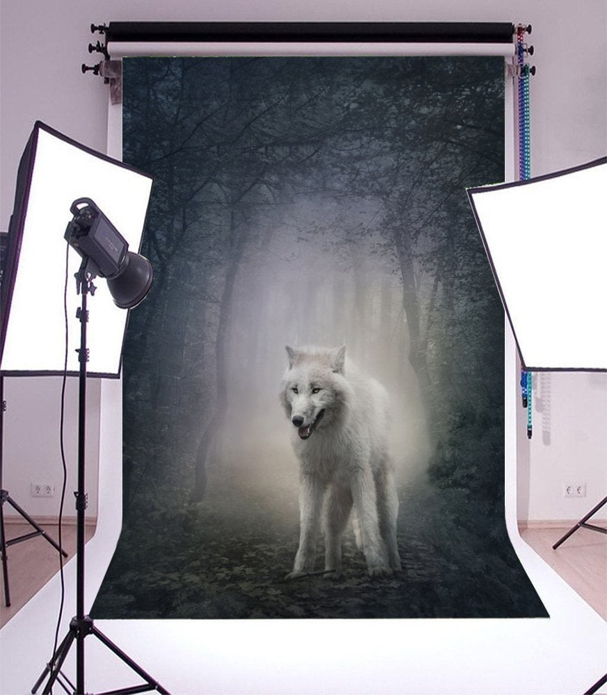 GreenDecor 5x7ft Photography Backdrop Fantasy Fairytale Forest Fog ...