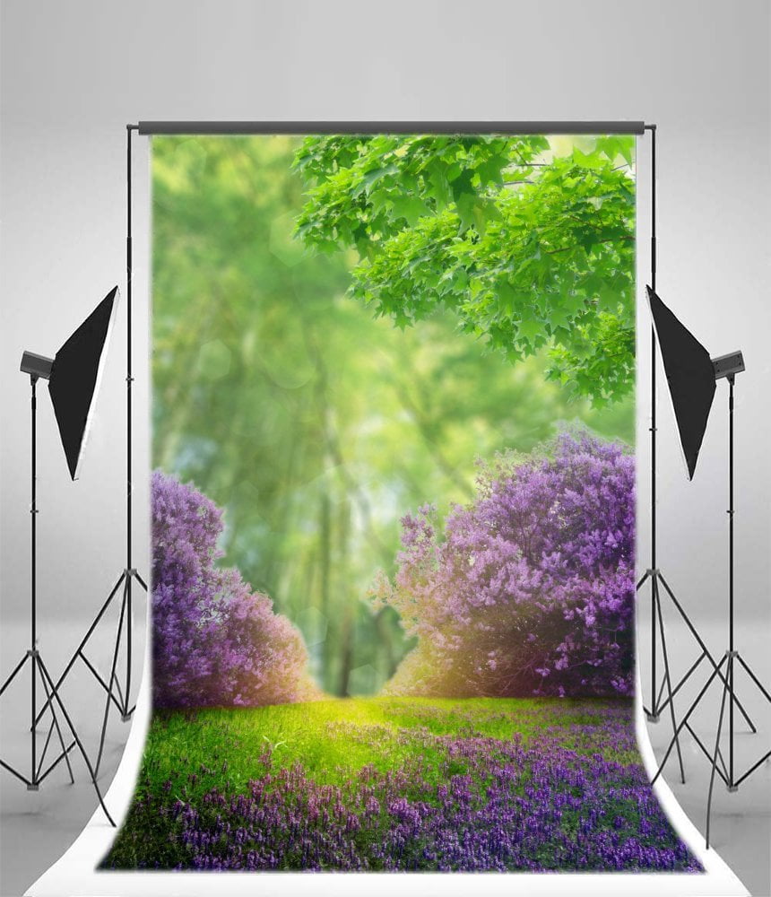 GreenDecor 5x7ft Photography Background Dreamy Forests Romantic ...