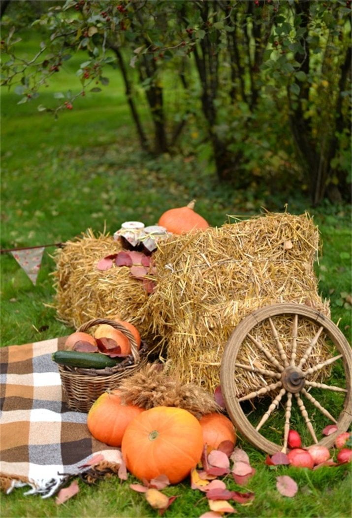 GreenDecor 5x7ft Pumpkin Backdrop Fall Harvest Photography Background ...