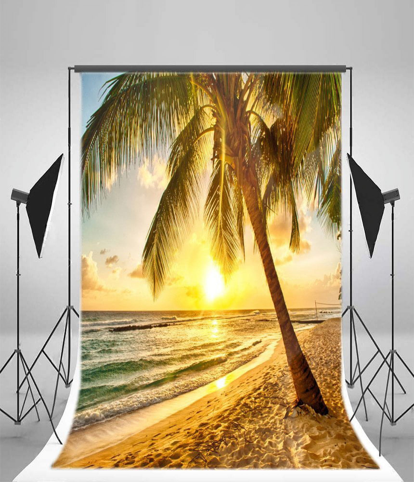 GreenDecor 5x7ft Sea Backdrops Photography Backdrop Beach Coconut Tree ...