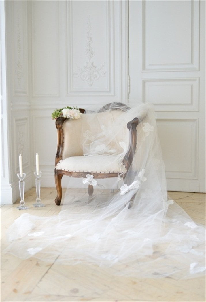 GreenDecor 5x7ft Wedding Backdrop Elegant Dress Veil Photography ...