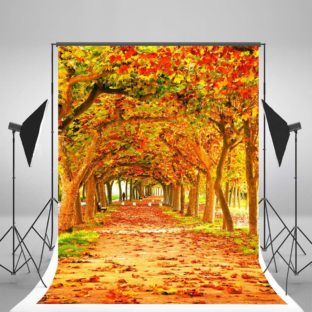 GreenDecor 5x7ftAutumn Photography Background Fall Leaves Tree ...