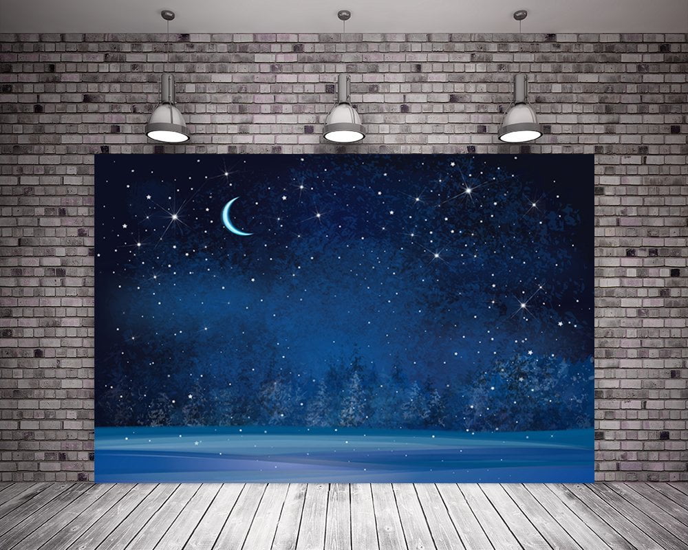 GreenDecor 7X5ft Winter Photography Backdrop Royal Blue Night Scenery ...