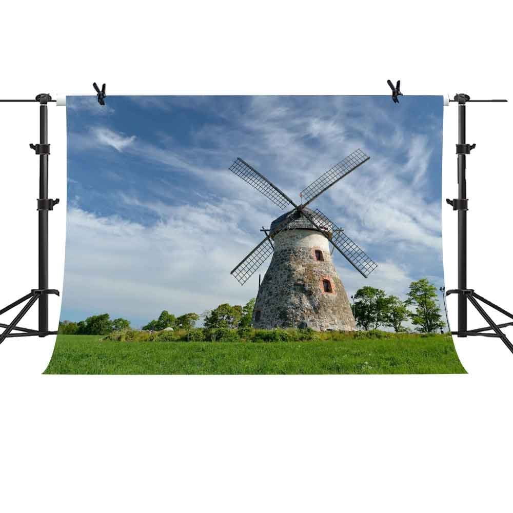 GreenDecor 7x5Ft Green Grass Blue Sky Backdrop Windmill Background ...