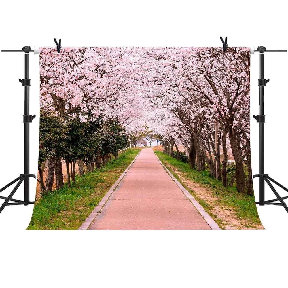 GreenDecor 7x5Ft Sakura Backdrop Path Pink Cherry Blossoms Green Grass ...