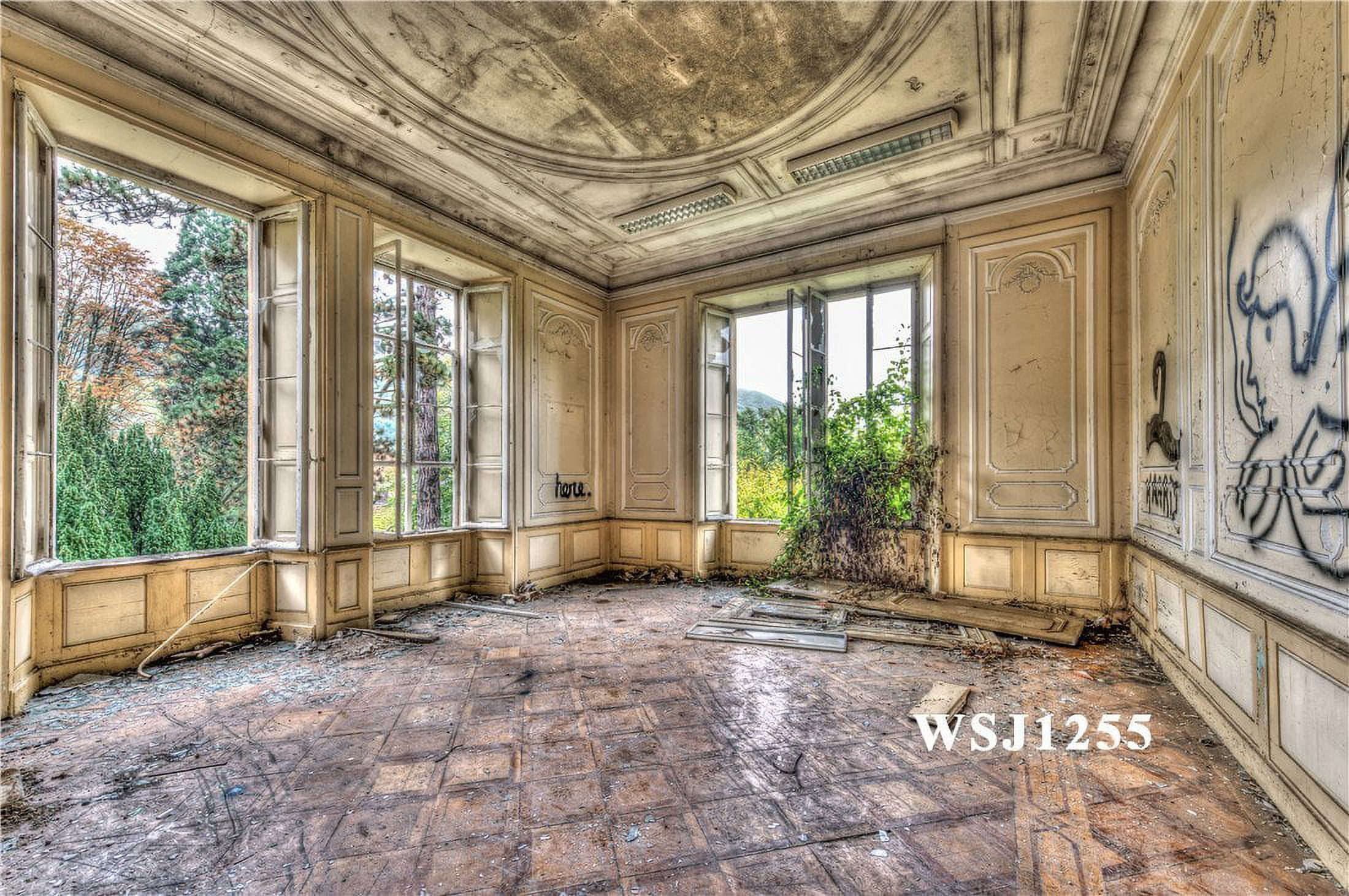 GreenDecor 7x5ft Abandoned House Halloween Theme Photography Backdrop ...