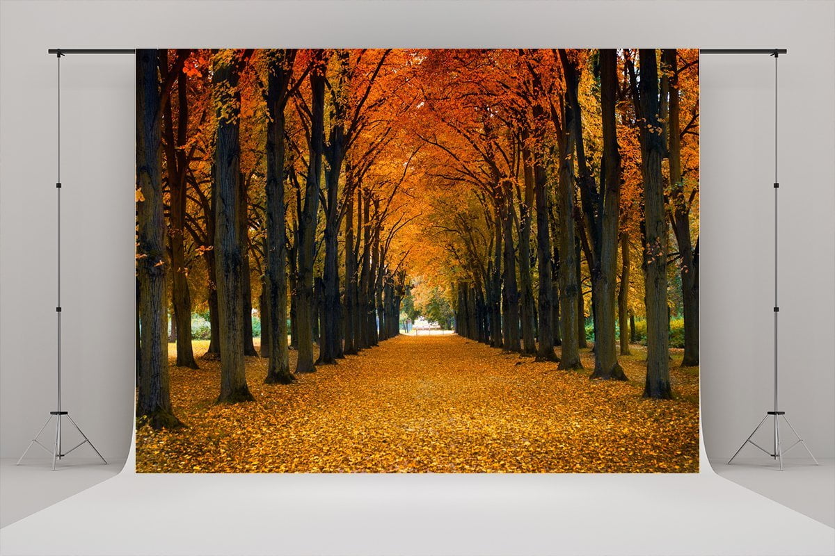 GreenDecor 7x5ft Autumn Fall Forest Photography Background photo Studio ...