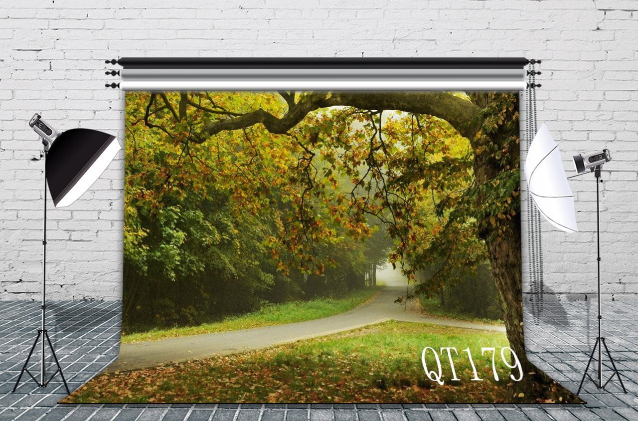 GreenDecor 7x5ft Autumn Forest Scenery Photography Backdrops Studio ...