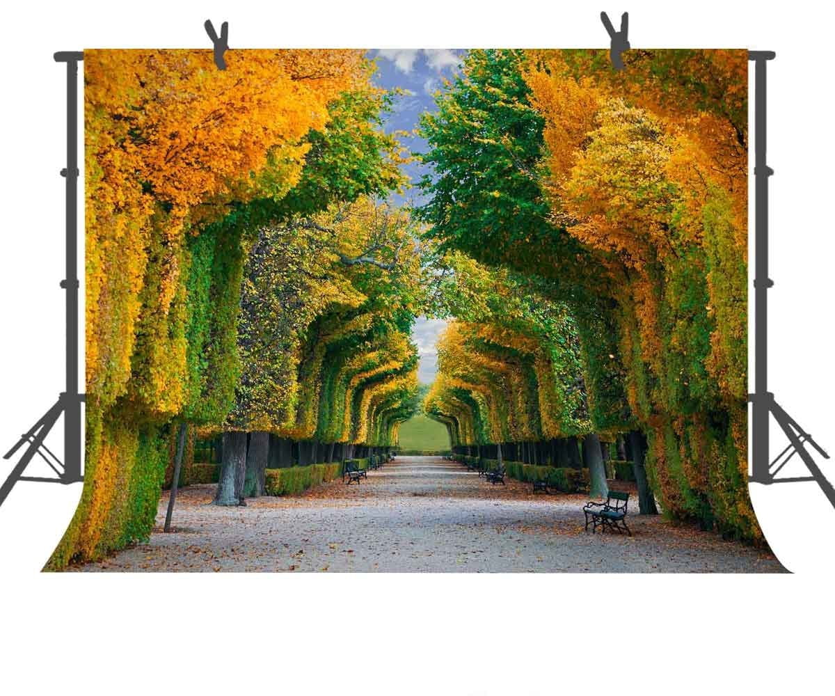 GreenDecor 7x5ft Autumn Park Trees Photography Backdrop Photo Props ...