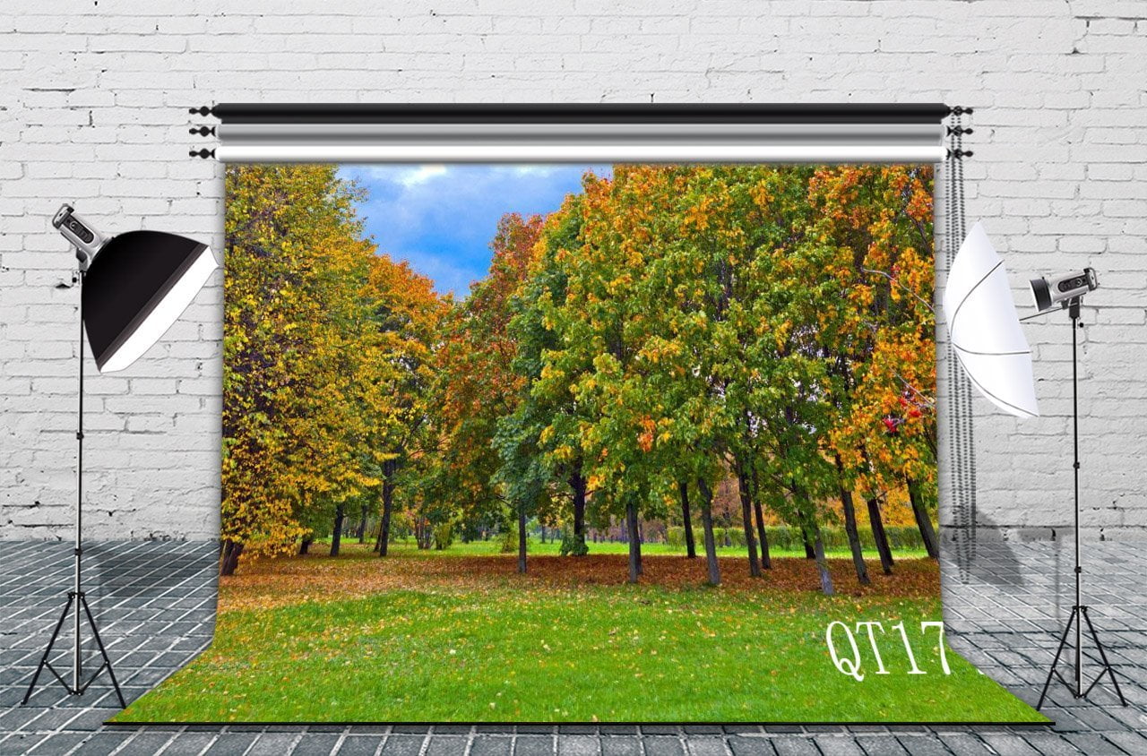 GreenDecor 7x5ft Autumn Woods Photography Backdrops Studio Background ...